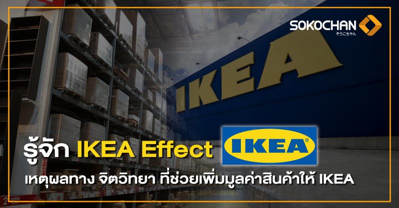 รู้จัก IKEA Effect เหตุผลทางจิตวิทยาที่เพิ่มคุณค่าสินค้า IKEA ...